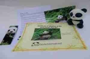 How Much Do Giant Pandas Cost? (Explained) | BestofPanda