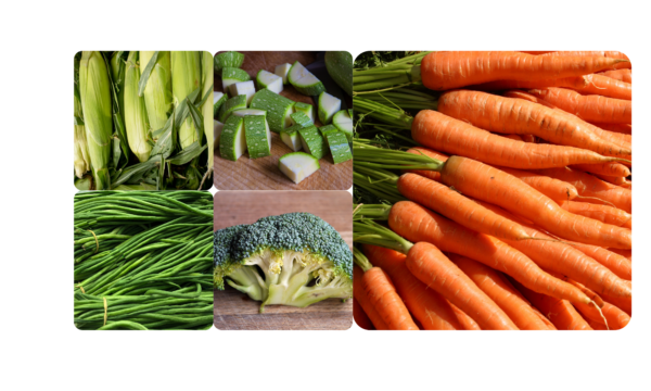 Do Giant Pandas Eat Vegetables? (Solved!) – BestofPanda