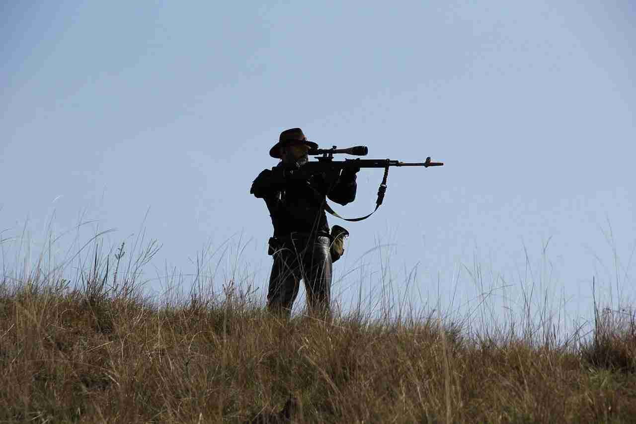 Does The Red Panda Have Any Predators?