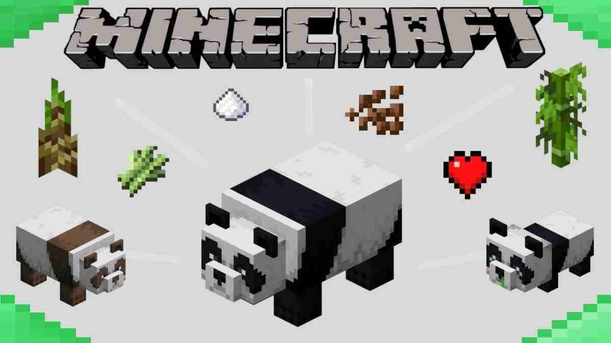 110 Best Names for Pandas in Minecraft (Cute, Funny, Etc..) – BestofPanda